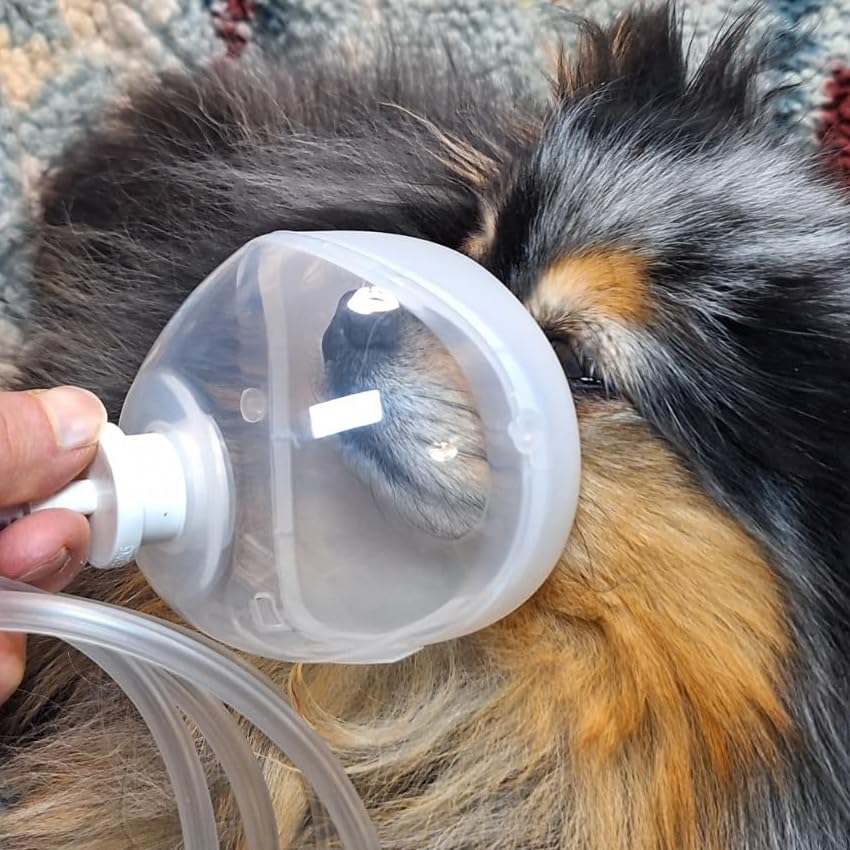 Nomeoop Pet Nebulizer mask for Puppy and Cats, with 2 -Meter Oxygen Tube,Dog Oxygen mask