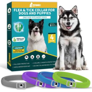 4 pack flea collar for dogs, dog flea and tick collar 8 months flea and tick treatment prevention for dogs, waterproof adjustable dog flea collar natural tick and flea collar for dogs (4color)