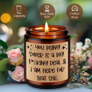 Fairy's Gift Sober Candle, Sobriety Gifts for Women Men, Funny Gifts for Sobriety, Sober Gifts for Women Men, Sobriety Anniversary Recovery Gifts, Sober Anniversary Congratulations Gifts for Him, Her