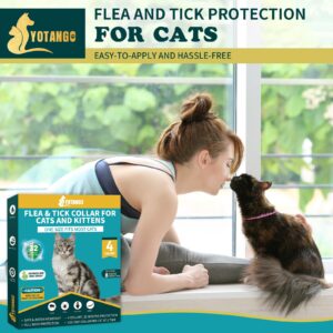 4 Pack Flea Collar for Cats, Cat Flea and Tick Collar 8 Months Cat Flea Collar Treatment Prevention, Adjustable Waterproof Cat Flea Collar Kitten Natural Tick and Flea Collar for Cat (Pink&Purple)