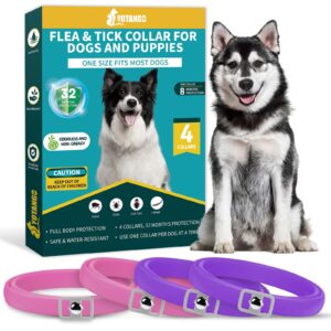 4 pack flea collar for dogs, dog flea and tick collar 8 months flea and tick treatment prevention for dogs, waterproof adjustable dog flea collar natural tick and flea collar for dogs (pink&purple)