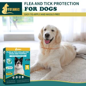 4 Pack Flea Collar for Dogs, Dog Flea and Tick Collar 8 Months Flea and Tick Treatment Prevention for Dogs, Waterproof Adjustable Dog Flea Collar Natural Tick and Flea Collar for Dogs (Oragne&Green)