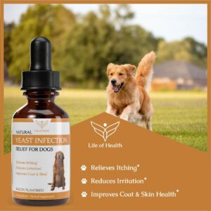 Natural Yeast Infection Treatment for Dogs | Supports Healthy Itch Relief, Inflammation Relief, Allergy Relief & More | Dog Yeast Ear Infection Treatment | Dog Itch Relief | Dog Allergy Relief