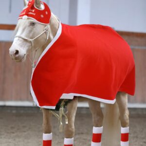 Cunno 6 Pack Christmas Horse Costume Accessories Include Horse Wraps Legs Horse Santa Hat Saddle Blanket for Horse Winter Xmas Holiday Party Accessories