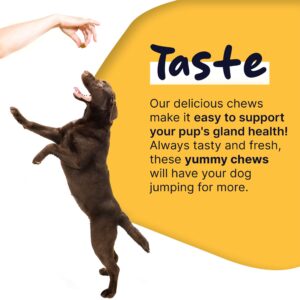 Glands Bowel Support - 120 Delicious Scoot Soft Chews for Scooting, Healthy Anal Glands, and Digestive Health - Made with Pumpkin Powder for Dogs