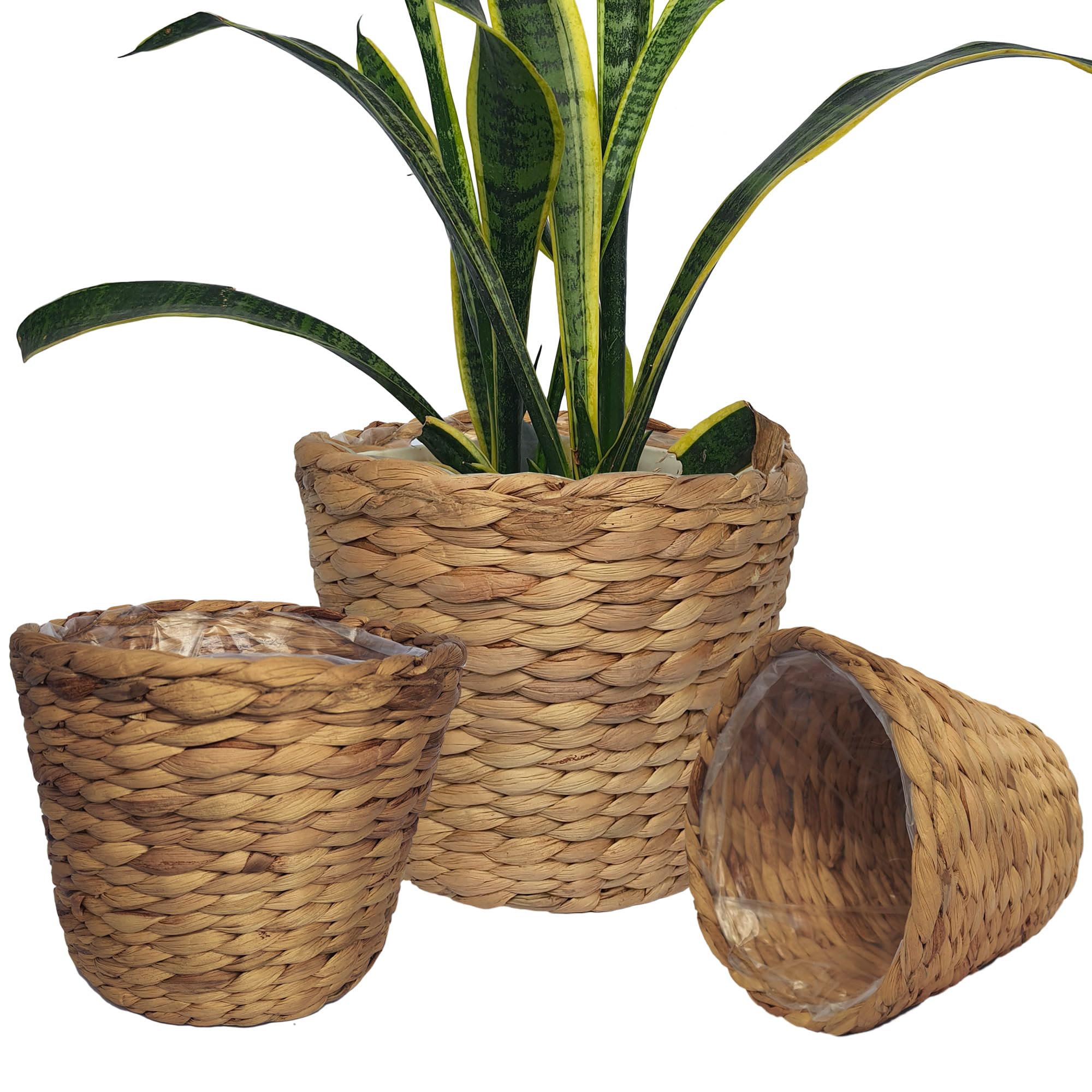 Set of 3 pcs Stylish Seagrass Planter Basket - Natural Water Hyacinth Small Storage - Made of Eco Friendly - Flower Pot Table Decoration - Boho Decor - Gift For Her