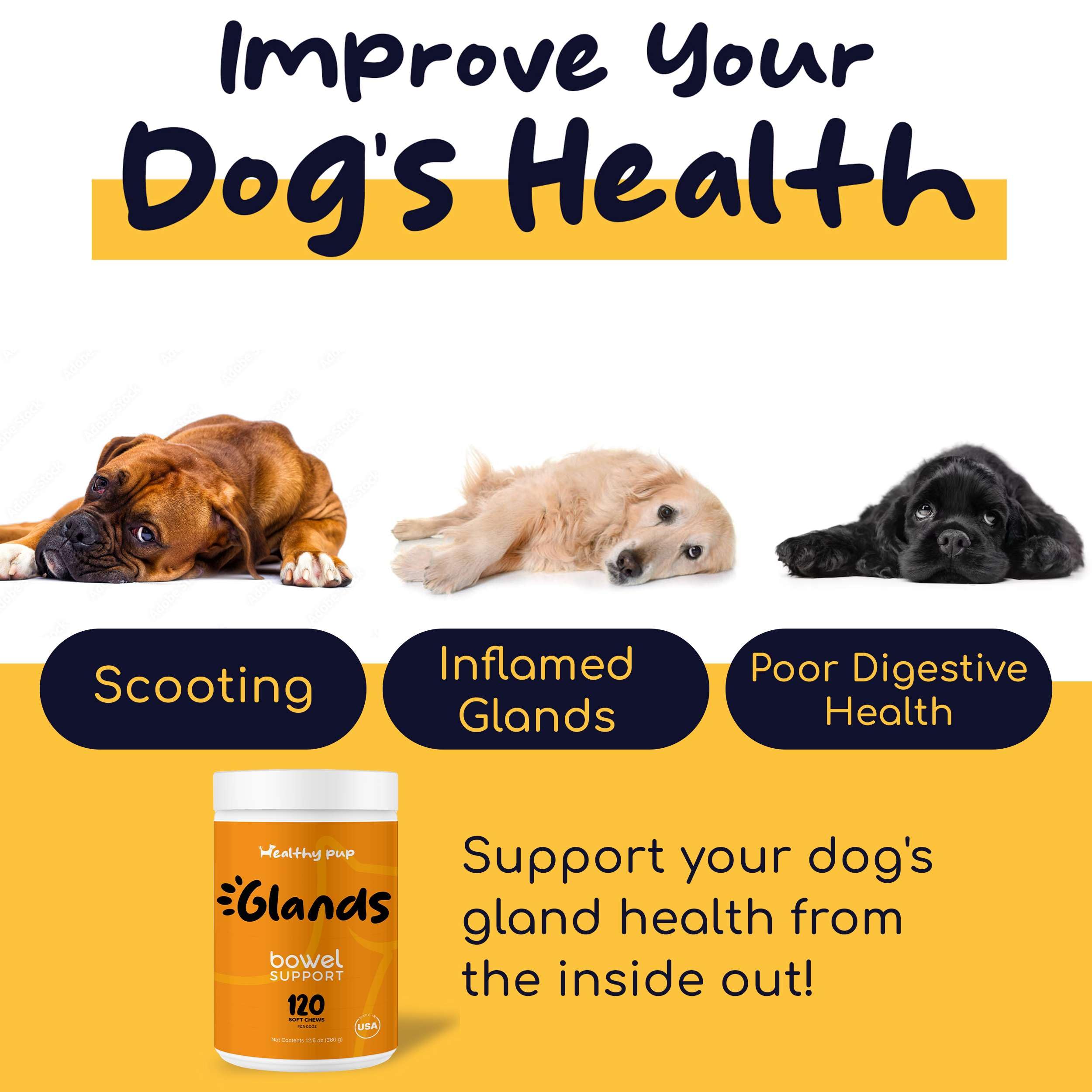 Glands Bowel Support - 120 Delicious Scoot Soft Chews for Scooting, Healthy Anal Glands, and Digestive Health - Made with Pumpkin Powder for Dogs