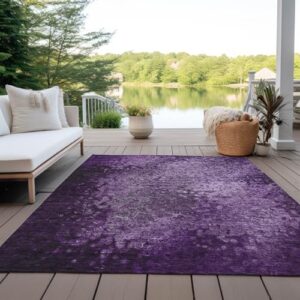 Addison Rugs Chantille ACN565 Purple 5' x 7'6 Indoor Outdoor Area Rug, Stain Resistant, Machine Washable, Non Shedding, Bedroom, Living Room, Dining Room, Kitchen Rug