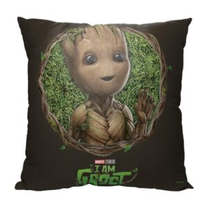 northwest guardians of the galaxy pillow, 18" x 18", groot frame