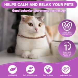 Woyamay 4 Pack Calming Collar for Cats, Luminous Cat Calming Collar for Cat Anxiety Relief, Long-Lasting 60 Days Efficient Cat Pheromones Collar, Water-Resistant & Breakaway Calming Cat Collars, Brown