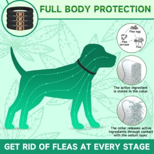 4 Pack Flea Collar for Dogs, Dog Flea and Tick Treatment, 8 Months Protection Flea and Tick Collar for Dogs, Waterproof Dog Flea Collar, Adjustable Collar Flea and Tick Prevention for Dogs,Black