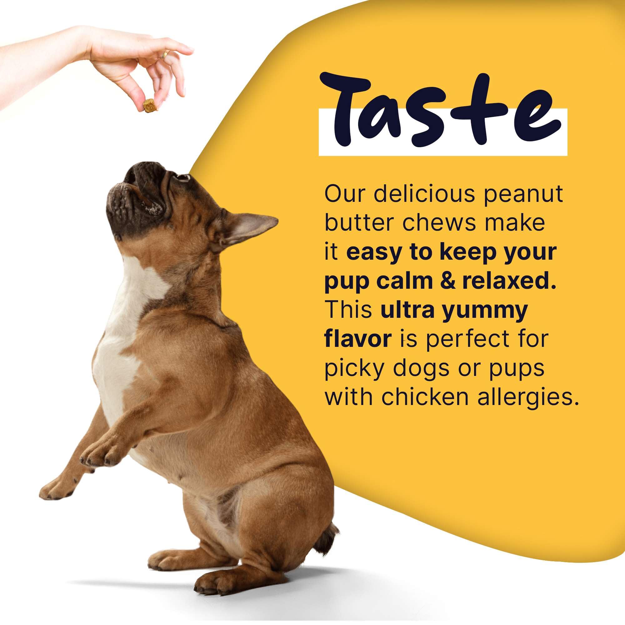 Calming Chews for Dogs with Melatonin - 60 Delicious Soft Treats for Dog Anxiety Relief for Large and Small Dogs - Peanut Butter Flavor - Includes Chamomile, Thiamine, L-Tryptophan