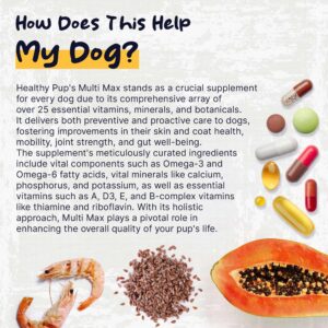 Dog Multivitamin Supplement - 120 Soft Chew Dog Vitamins and Supplements with Omega, Probiotics, Glucosamine, and More - for Small, Large, and Senior Dogs