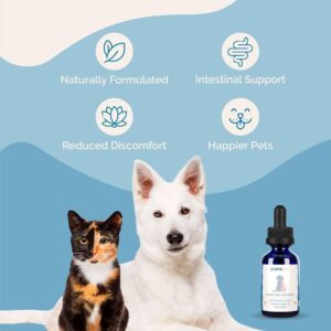 PranaPets Intestinal Defense Supplement for Dogs & Cats | Naturally Helps Digestive Issues in Pets | Herbal Formula