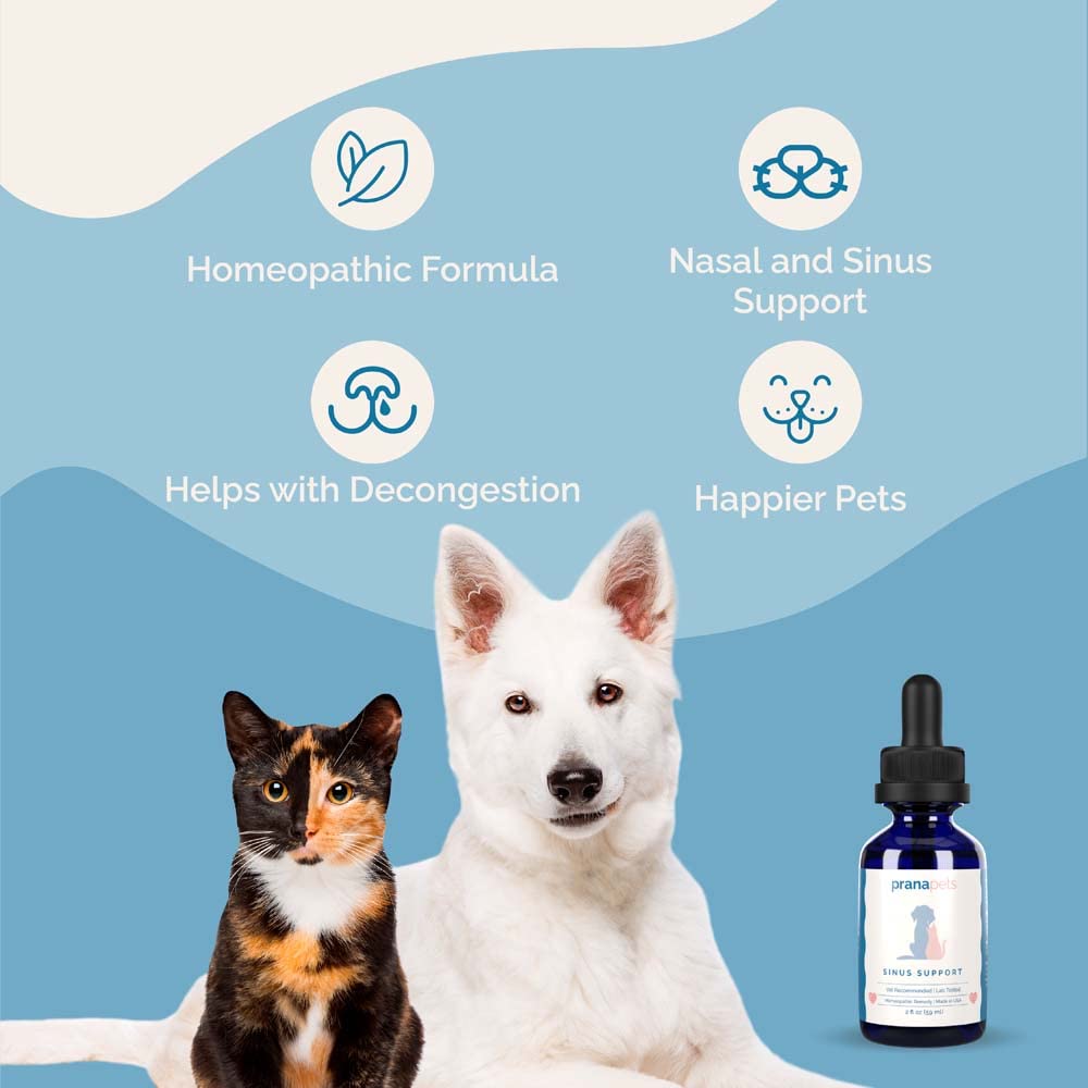 PranaPets Sinus Support Liquid Supplement for Pets | Naturally Supports Cat & Dog Sinus Relief | Natural Formula for Congestion