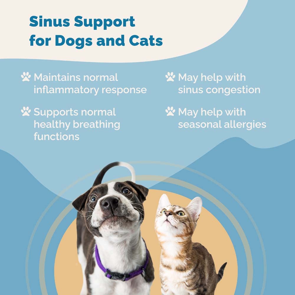 PranaPets Sinus Support Liquid Supplement for Pets | Naturally Supports Cat & Dog Sinus Relief | Natural Formula for Congestion