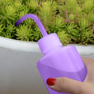 DERSTRA Wash Bottles - 2pcs 250ml Safety Wash Bottle Watering Tools, Economy Plastic Squeeze Bottle Medical Label Green Soap Cleaning Washing Bottle (Purple)