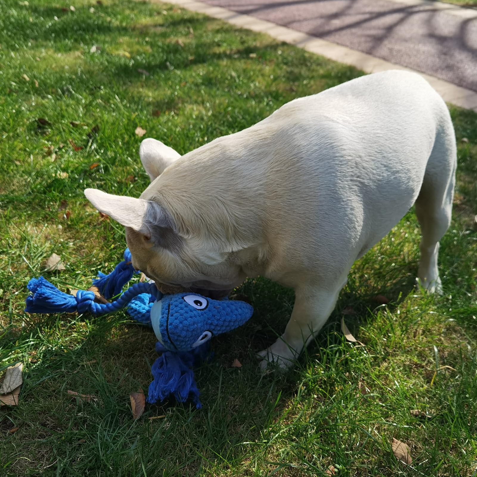 FQQWEE Dog Toys for Aggressive Chewers, Squeak Dog Toys with Chewed Rope, Indestructible Dog Squeaky Toys, Interactive Dog Plush Toys, Chew Toys for Puppy, Small, Middle, Big Dogs(Blue)