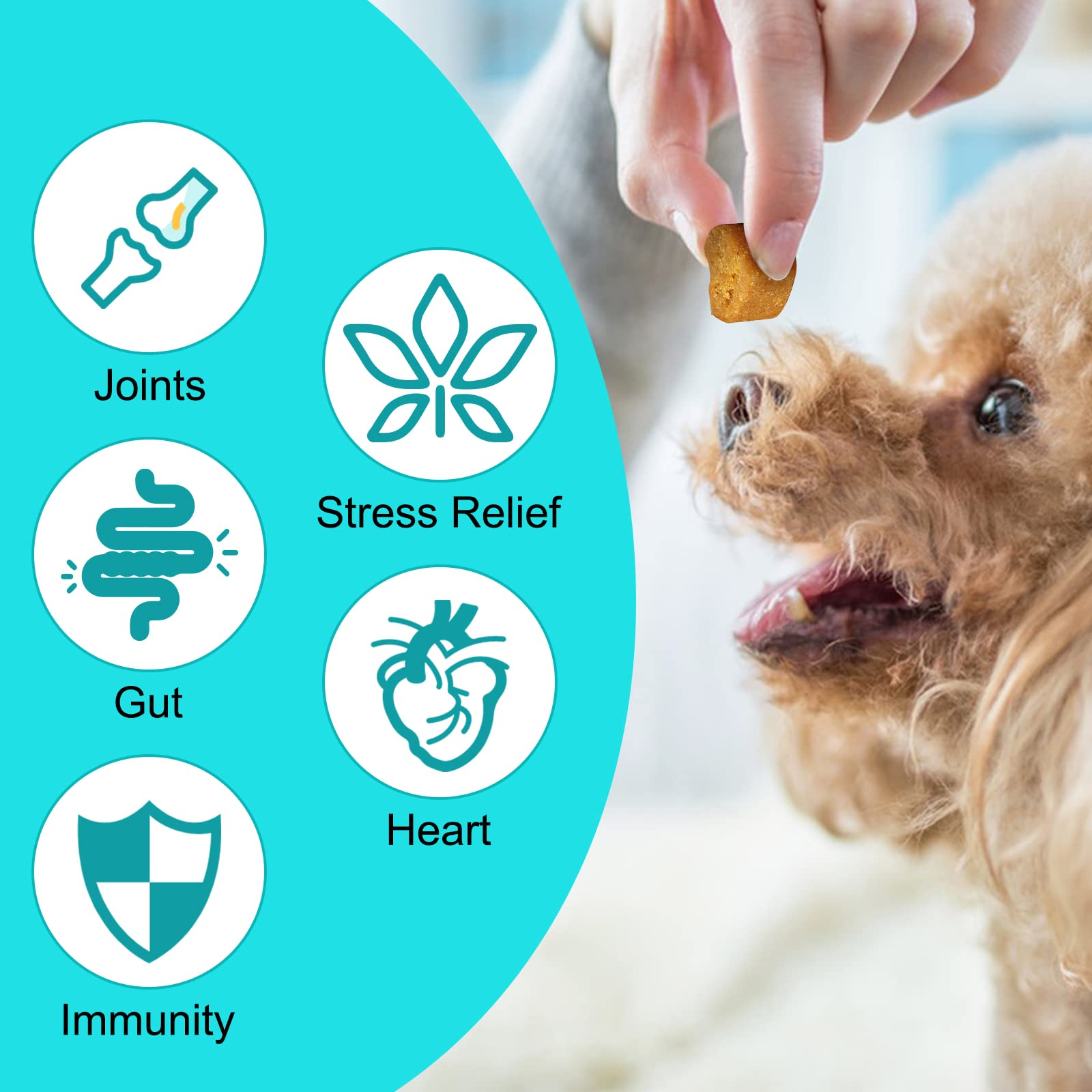 Calming Chews for Dogs 150 Cherws, Dog Calming Treats, Helps with Dog Anxiety, Separation, Barking, Stress Relief, Melatonin for Dogs, Sleep Calming Aid, All Breeds & Sizes (Pekingduck-150Chews)