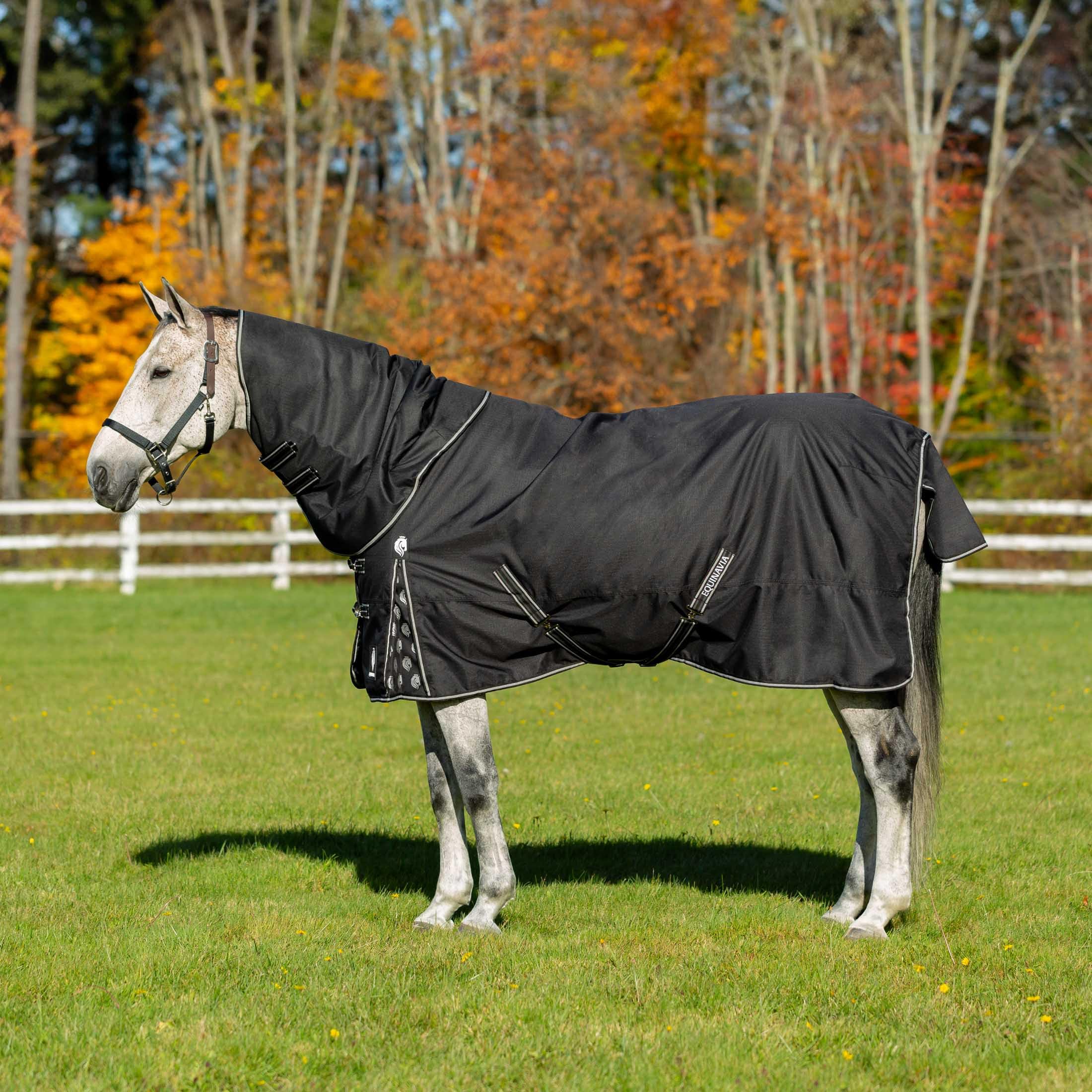 Equinavia Norse No Fill Horse Rain Blanket (0g) | Waterproof Lightweight Turnout Sheet - Black - 66 in - Black - 78 in