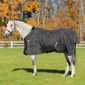 Equinavia Norse No Fill Horse Rain Blanket (0g) | Waterproof Lightweight Turnout Sheet - Black - 66 in - Black - 78 in