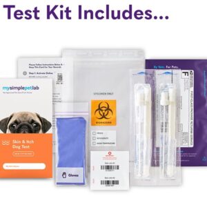 MySimplePetLab Dogs Itch and Skin Test Kit | Fast and Accurate Detection of Yeast and Other Skin Irritaions | Mail-in Dog Itchy Skin Test Used for Irritated, Itchy, or Smelly Skin