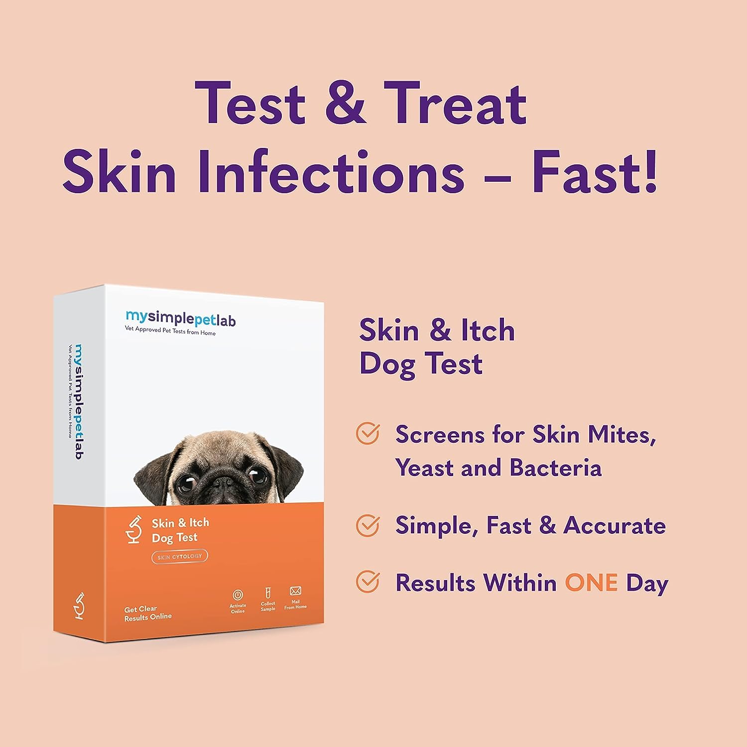 MySimplePetLab Dogs Itch and Skin Test Kit | Fast and Accurate Detection of Yeast and Other Skin Irritaions | Mail-in Dog Itchy Skin Test Used for Irritated, Itchy, or Smelly Skin