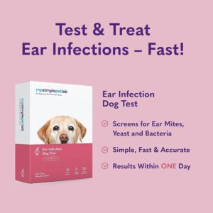 MySimplePetLab Dogs Ear Infection Test Kit | Fast and Accurate Detection of Yeast and Other Ear Irritations| Reliable Mail-in Dog Ear Care Test for Smelly, Itchy, or Sore Ears