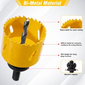 KATA Bi-Metal Hole Saw Kit, 18 Piece M42 Steel Hole Saw Set with 3/4" -2-1/2" (19-64mm), General Purpose Hole Saw Blades in Case with Mandrels, Drill Bit, Hex Key for Thin Metal, Hard Wood, Drywall