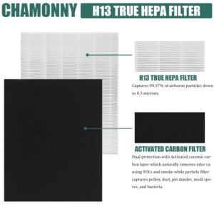 CHAMONNY D480 True HEPA Replacement Filter D4, Compatible with Winix D480 Air Purifier, Compare to Winix D4 Filter, Item Number 1712-0100-00, 2 H13 True HEPA Filters + 8 Activated Carbon Pre-Filters