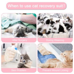 Due Felice Cat Surgery Recovery Suit Small Dog Surgical Recovery Onesie Pet After Surgery Wear for Female Male Cat Doggy Pink Heart/Medium