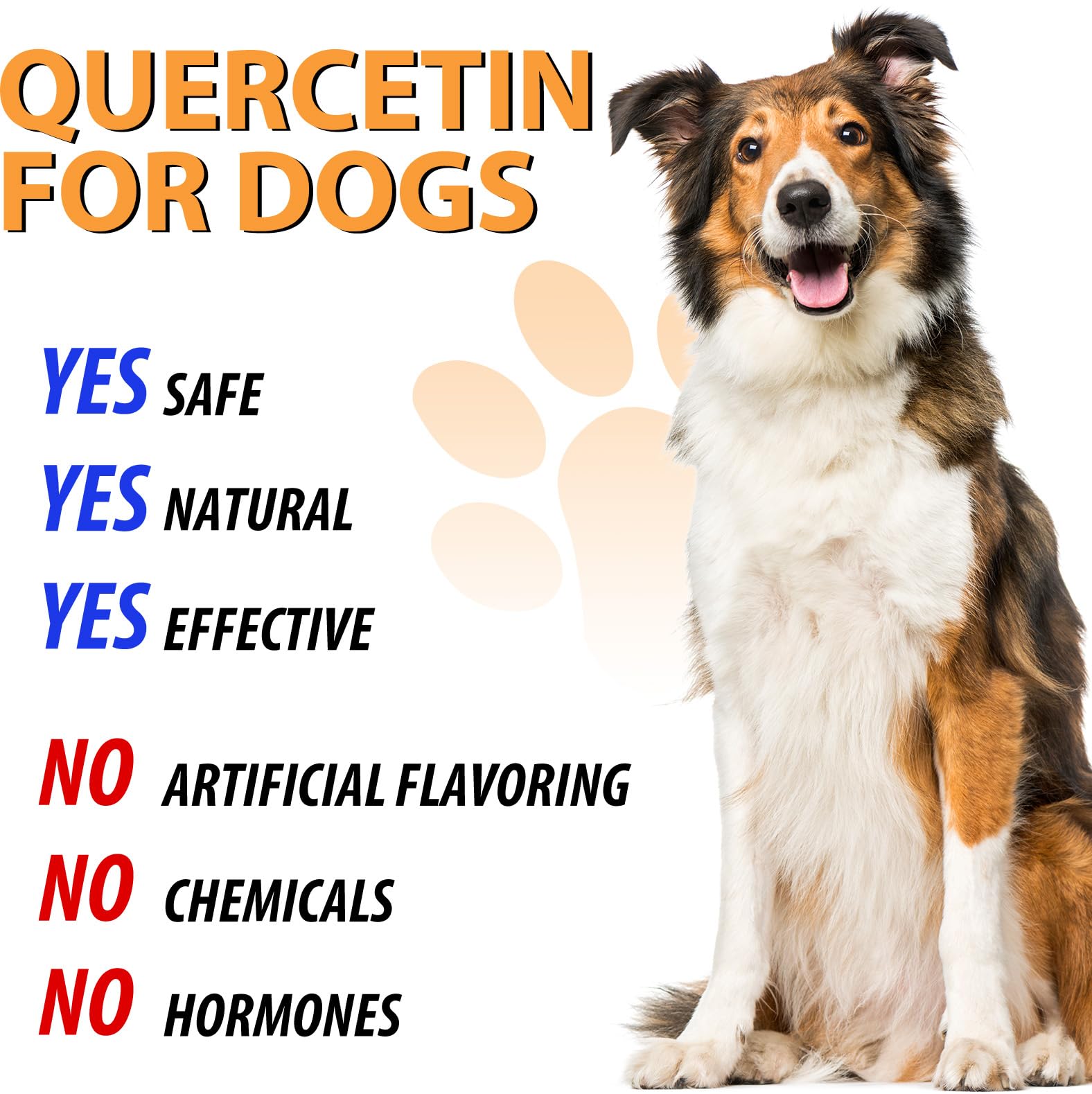 Quercetin for Dogs | Quercetin with Vitamin C for Dogs | Quercetin for Dogs Allergies | Quercetin Dog | Dogs Quercetin Supplement | Support Balanced Immune System | 60ml 2.02 fl oz