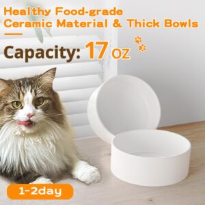 Oneluck Elevated Cat Bowl, Raised Ceramic Cat Dish,100% Waterproof Cat and Dog Bowls,15° Tilted Raised Stand Slip Resistant Raised Edges, Catch Water, Food Mess, No Spills,