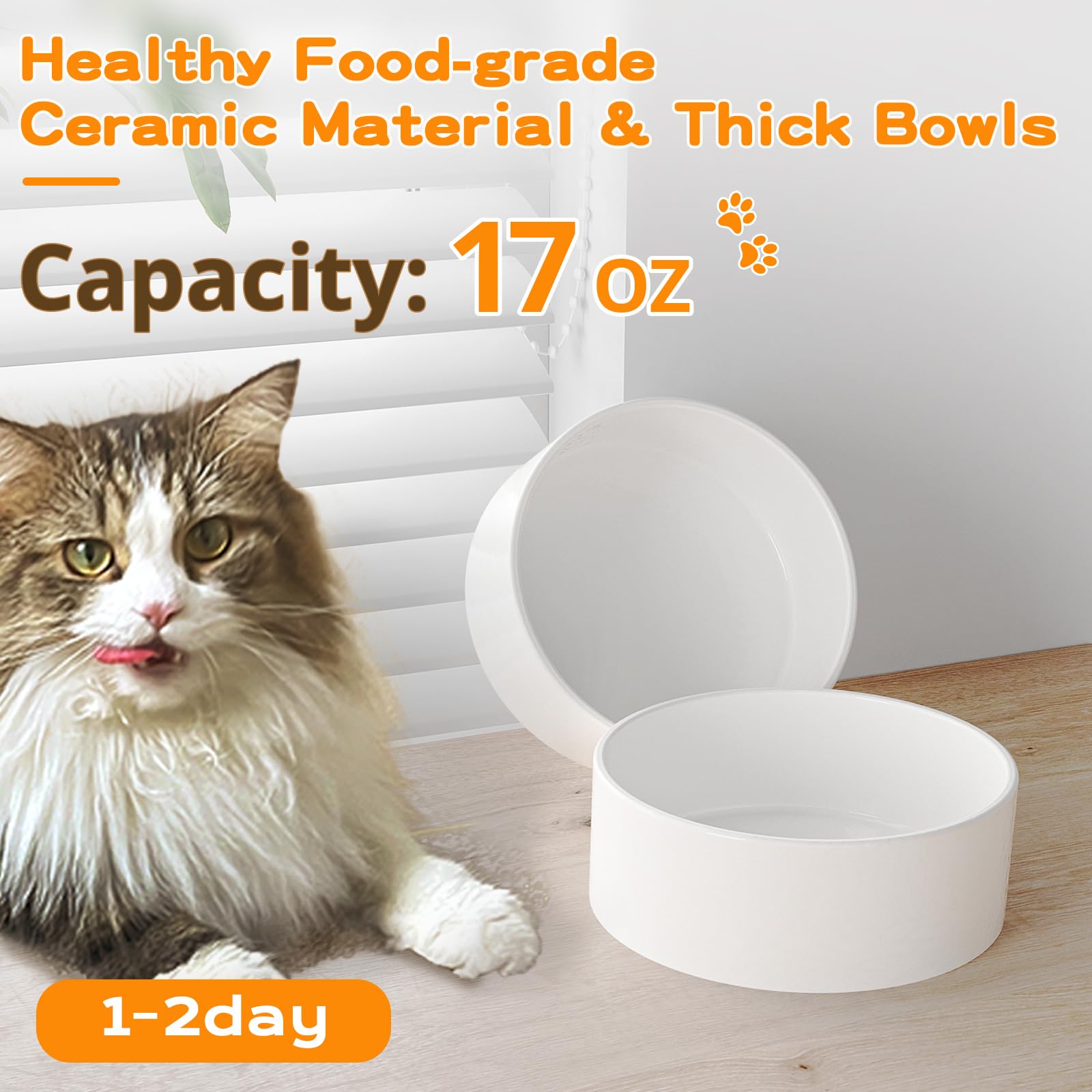 Oneluck Elevated Cat Bowl, Raised Ceramic Cat Dish,100% Waterproof Cat and Dog Bowls,15° Tilted Raised Stand Slip Resistant Raised Edges, Catch Water, Food Mess, No Spills,