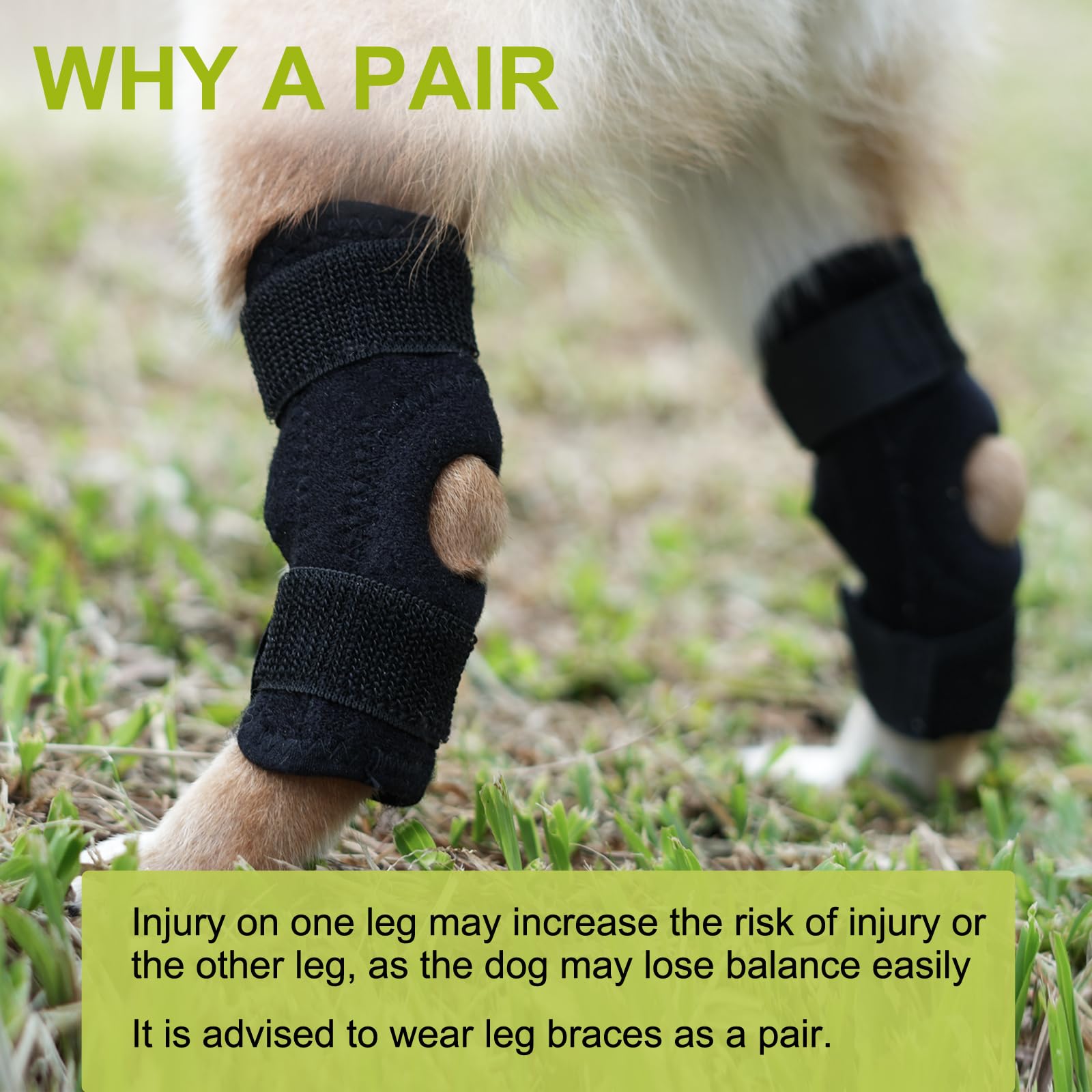 Dog Leg Brace for Font Rear Hock & Ankle, Canine Leg Joint Compression Wrap for Torn ACL & CCL, Dog Foot Injury and Sprain Protection, Wound Care and Loss of Stability from Arthritis 1pair (M)