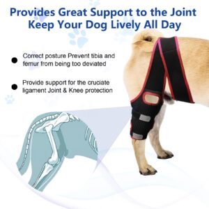 Dog Knee Brace with Side Stabilizers for Dog ACL, Adjustable Canine Shoulder Leg Hip Wraps for Arthritis & Torn CCL, Wound Care & Loss of Stability from Arthritis (S, Red)