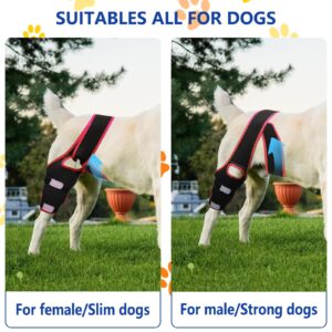 Dog Knee Brace with Side Stabilizers for Dog ACL, Adjustable Canine Shoulder Leg Hip Wraps for Arthritis & Torn CCL, Wound Care & Loss of Stability from Arthritis (S, Red)