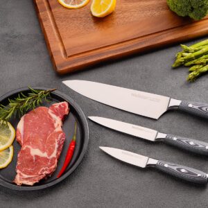 WELLSTAR Pro-Grade 3-Piece Chef Knife Set - Razor-Sharp High-Carbon Steel for Culinary Mastery at Home or Pro Kitchens