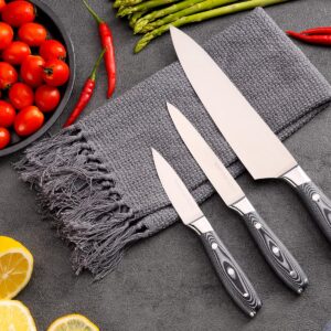 WELLSTAR Pro-Grade 3-Piece Chef Knife Set - Razor-Sharp High-Carbon Steel for Culinary Mastery at Home or Pro Kitchens