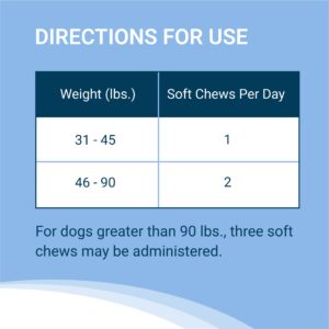 Nutramax Solliquin Calming Behavioral Health Supplement for Large Dogs - with L-Theanine, Magnolia/Phellodendron, and Whey Protein Concentrate, 75 Soft Chews