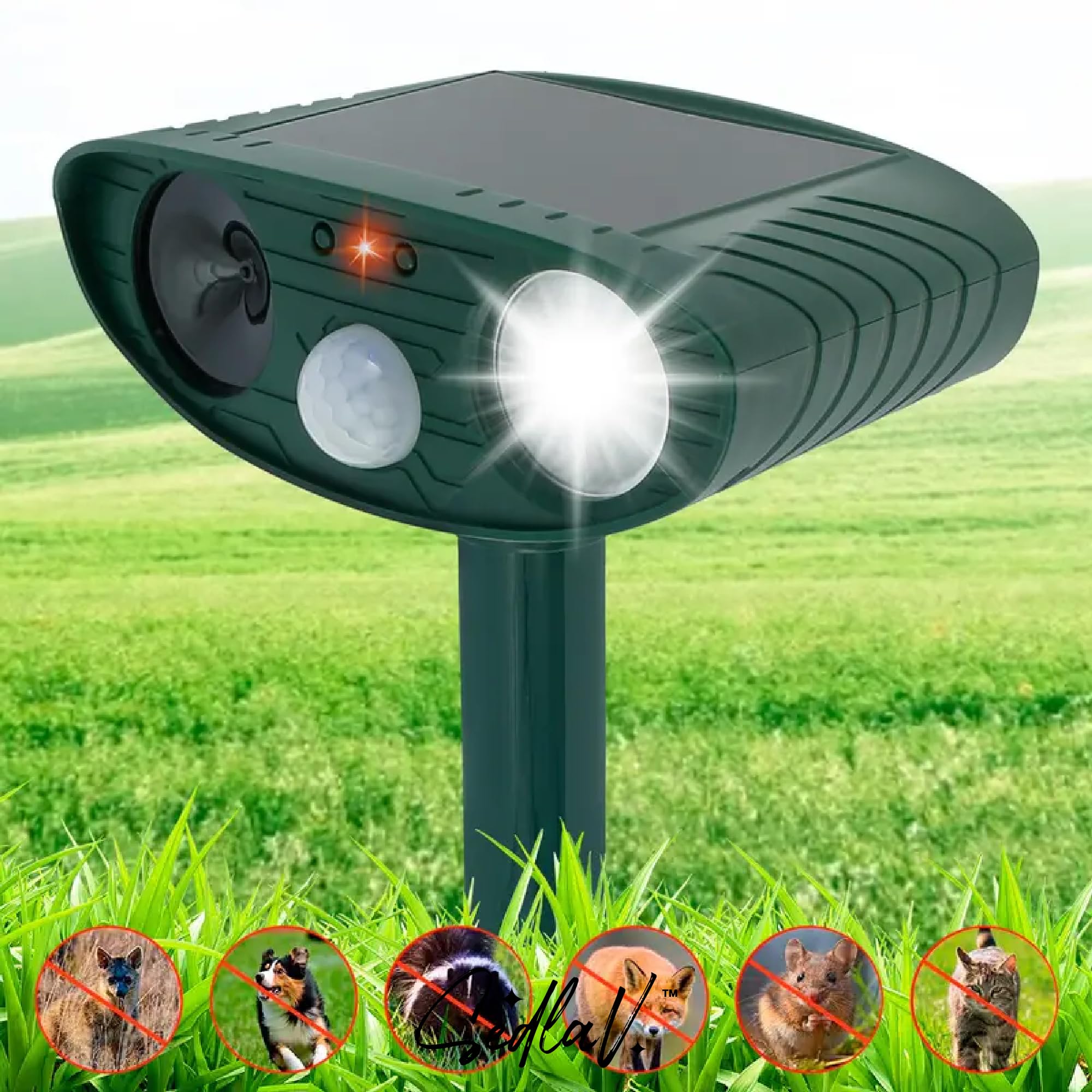 SEDLAV Ultrasonic Animal Repellent - Bat & Rat Repellent Indoor & Outdoor - Solar Powered Motion Activated Dual-Speaker Control - Cat Plant Deterrent