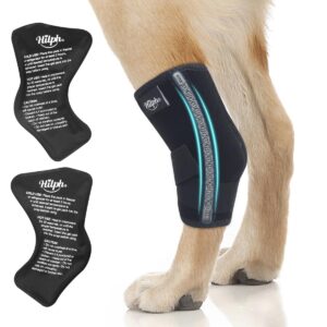 hilph rear leg hock brace with metal spring strips and 2 ice packs, dog leg brace hot cold compression for rear leg, hock ankle support, injuires, joint pain, sprain and post surgery recovery (m)