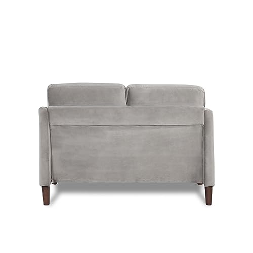 Furniture of Amarica Diana Mid Century Modern Velvet Loveseat with Solid Wood Legs, Compact Upholstered 2-Seater Sofa, Light Gray