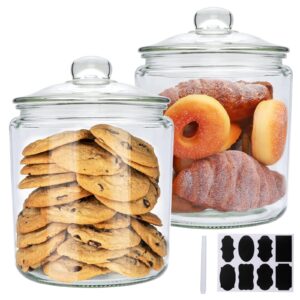 accguan 1-gallon food storage containers,glass cookie jar with lid,glass jars for bath salts,flour,spices,halloween candy,detergent,kitchen storage,holiday decoration jars,diy gifts,2pcs