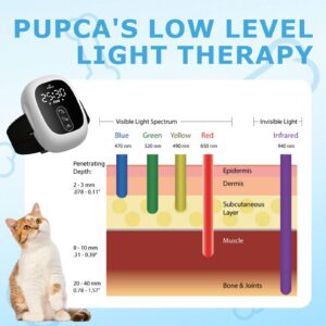 PUPCA Cold Laser Therapy for Dogs, Portable Red Light Therapy Vet Device for Pain Relief, Muscle & Joint Pain from Dog Arthritis, Clear Skin Infections with 2 Therapy Modules