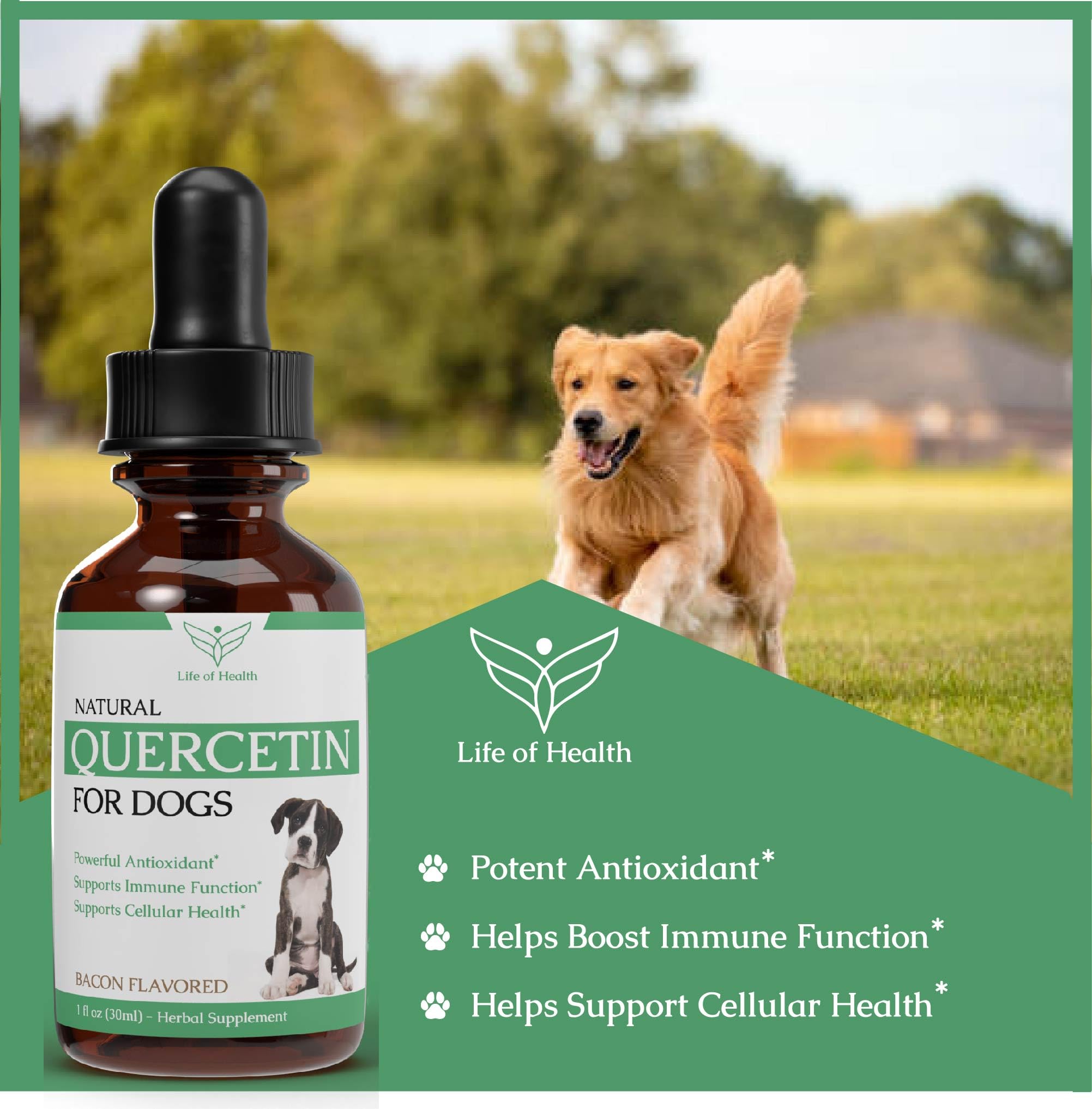 Life of Health Quercetin for Dogs - Quercetin for Dogs Allergies - Dog Allergy Support - Dog Allergy - Quercetin - Quercetin Dog - Dog Allergies - Quercetin Supplements - Dog Allergy Relief - 1 fl oz