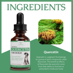 Life of Health Quercetin for Dogs - Quercetin for Dogs Allergies - Dog Allergy Support - Dog Allergy - Quercetin - Quercetin Dog - Dog Allergies - Quercetin Supplements - Dog Allergy Relief - 1 fl oz