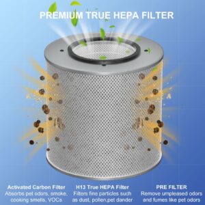 Ganteny HM400 True HEPA Filter Replacement Compatible with Austin Air Healthmate FR400, HM400, HM402, HM405, HM410, HM450 Air Cleaner Purifier, 1 HEPA Filter + 2 Pre-Filters