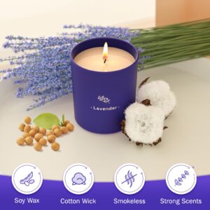 TranquilBliss Lavender Candles for Home Scented, 8 oz Scented Candles Present, Purple Jar Candles, Soy Candles for Women, 45 Hour Long-Lasting Burn Scented Candles for Birthday - 1 Pack