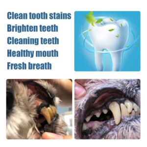 Ankexin 2 Pack Pets Dog Teeth Cleaning Whitening Pen Teeth Cleaning Pen Dogs Cats Natural-Plants Tartar Remover Tool